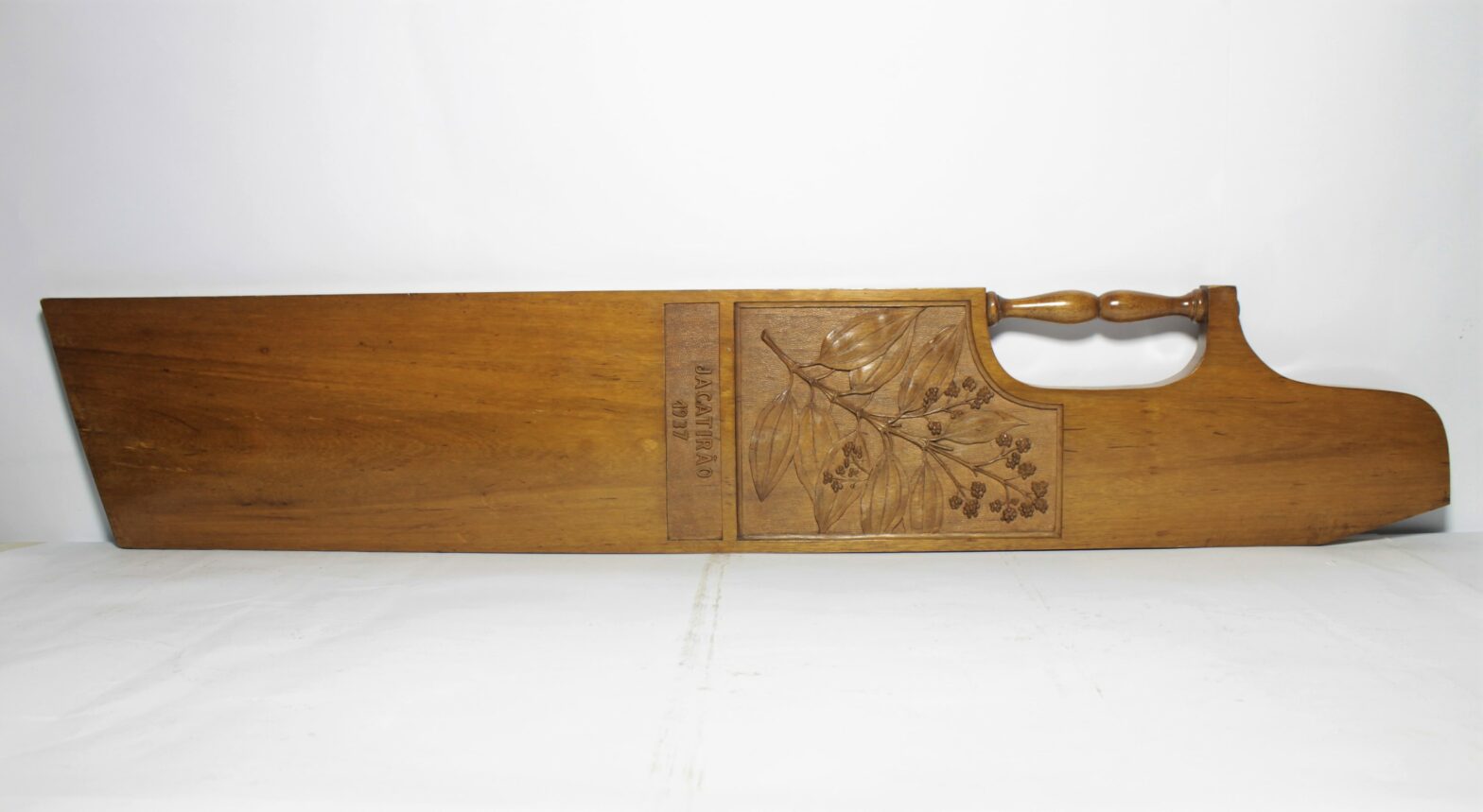 Prancha de jacatirão – Museu Florestal Octávio Vecchi